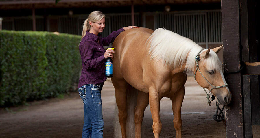 Insect & Fly Control for Horses | Farnam